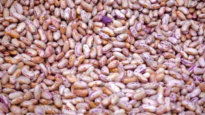 4 Reasons Your Dried Beans Won't Soften (and How to Fix)