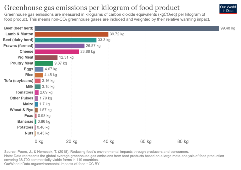 Beyond Meat vs Beef: (Nutrition, Price, and Health) | VegFAQs